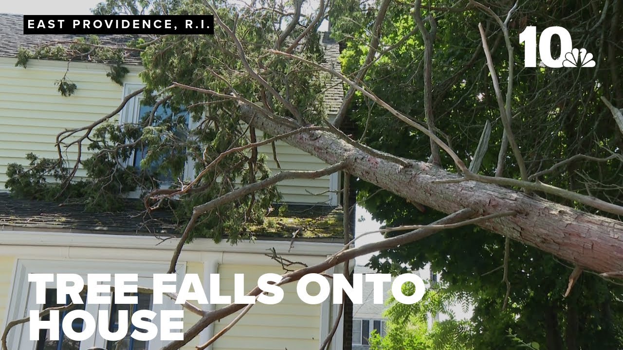 Man describes moment tree fell onto house during storm - YouTube