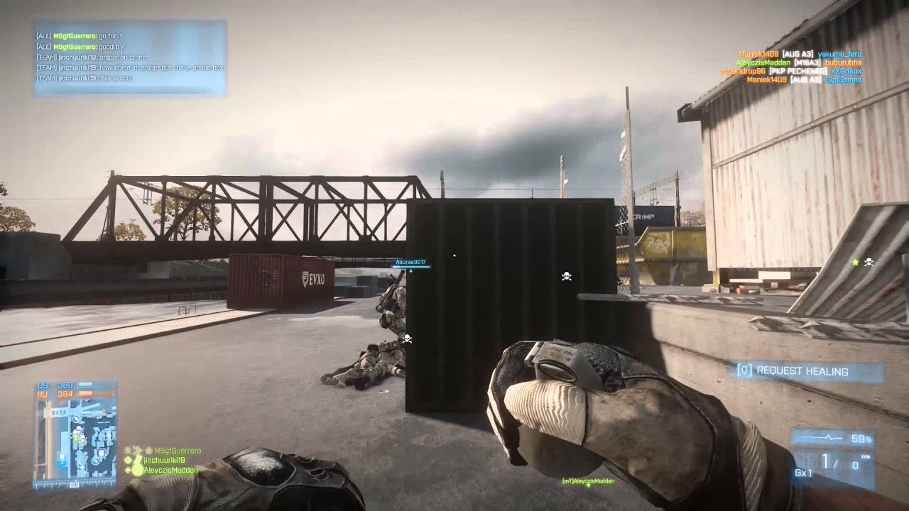 BF3 bug - YouTube