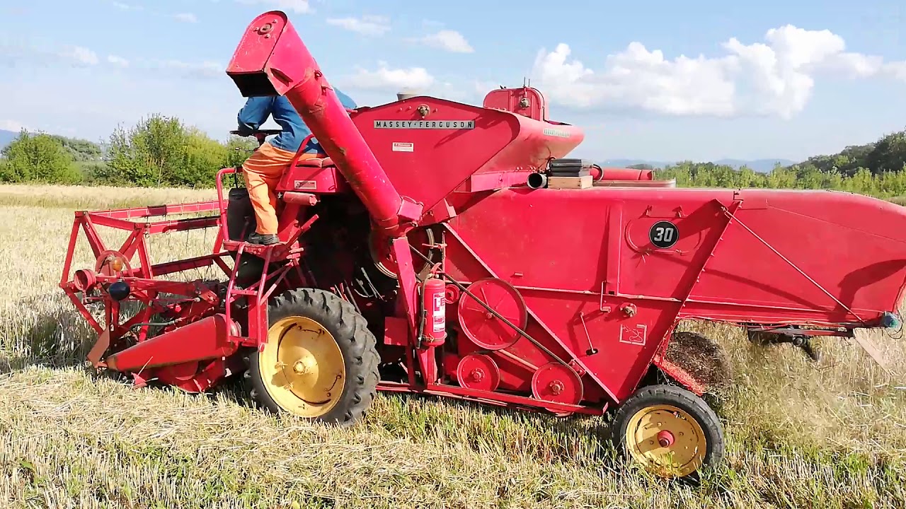 Massey Ferguson MF 30 žatva 2018 - YouTube