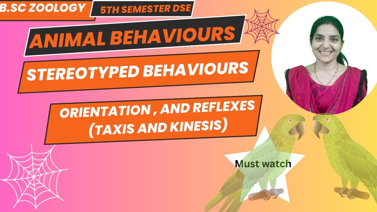 Stereotyped Behaviours (Orientation, Reflexes) Animal Behaviour and ...