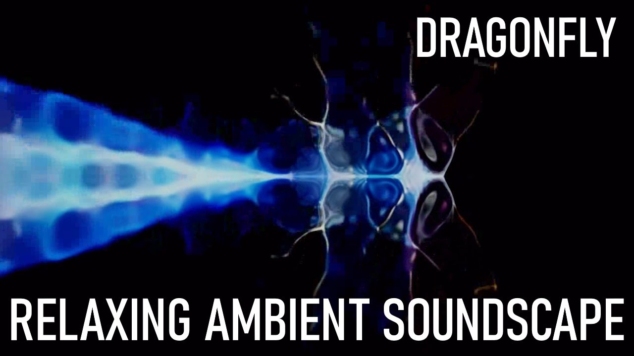 Relaxing Musical Soundscape - Dragonfly - Layered Beats/Bright/Deep ...