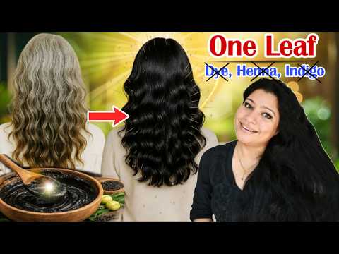 I Found One Leaf That Made My Hair Look Naturally Black ।Garima Singh ।