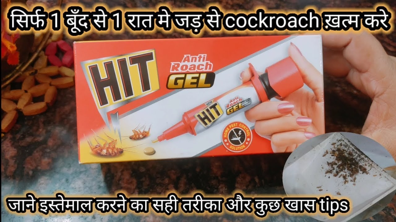 Hit Anti Roach Gel cockroach killer honest review | बस एक बार लगाया ...