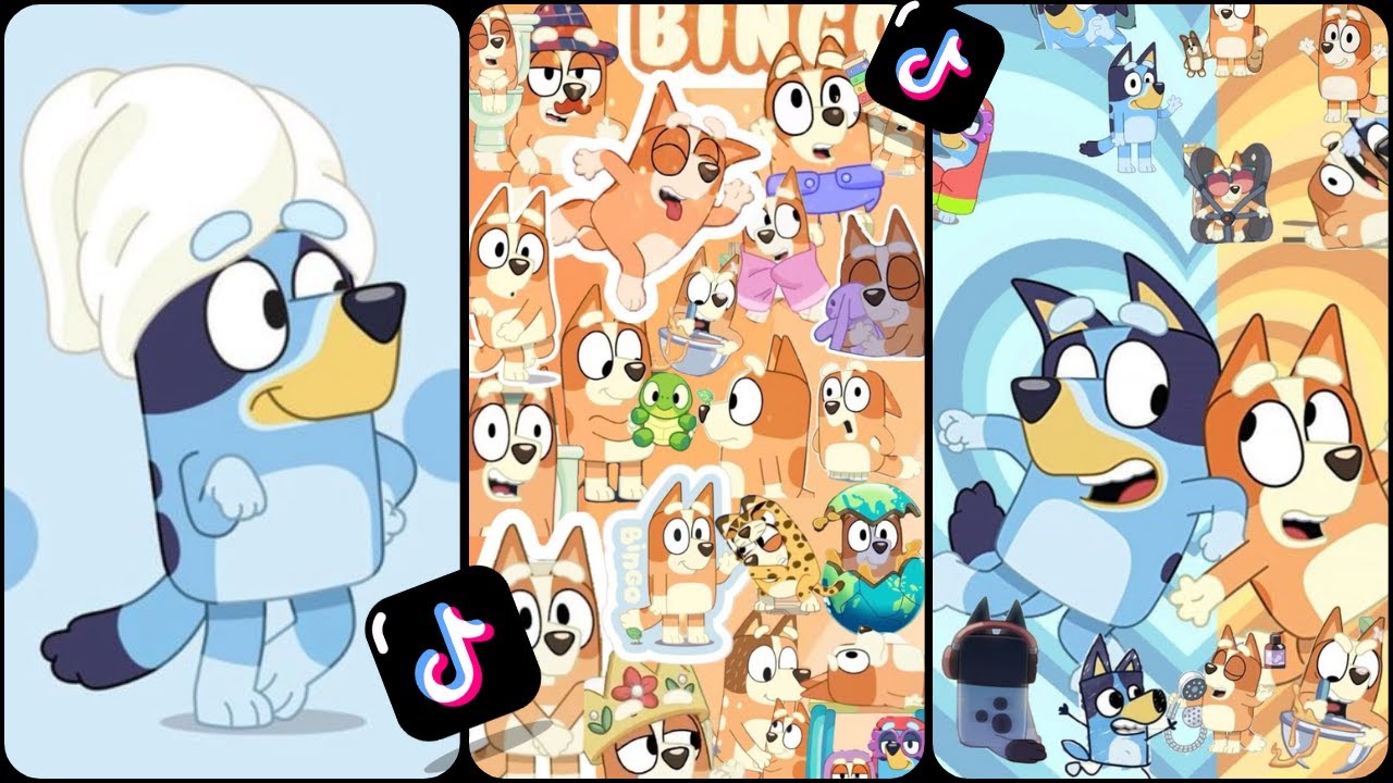 Bluey TikToks - Best Tiktok Compilation 2024 - YouTube