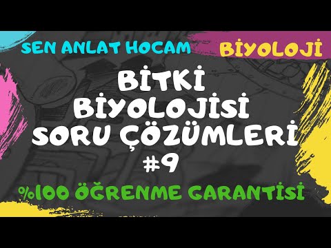 BİTKİ BİYOLOJİSİ SORU ÇÖZÜMLERİ 9 | AYT BİYOLOJİ | ✅