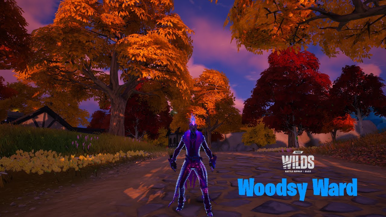 Woodsy Ward (Fortnite) Gameplay - YouTube