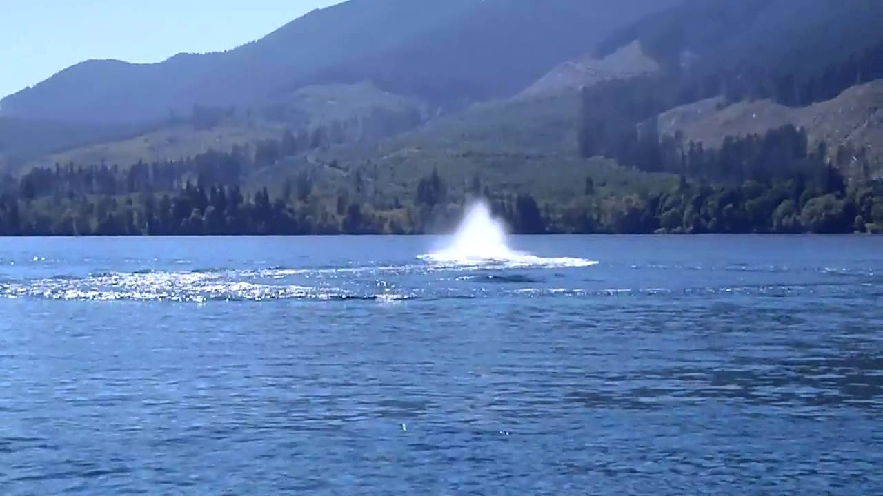 Hydrostream HST - YouTube