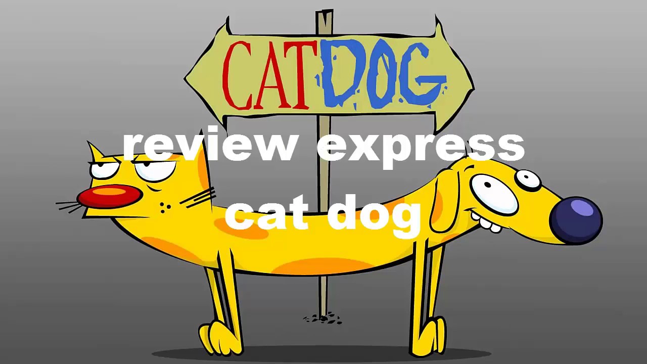 loquendo/review express cat dog - YouTube