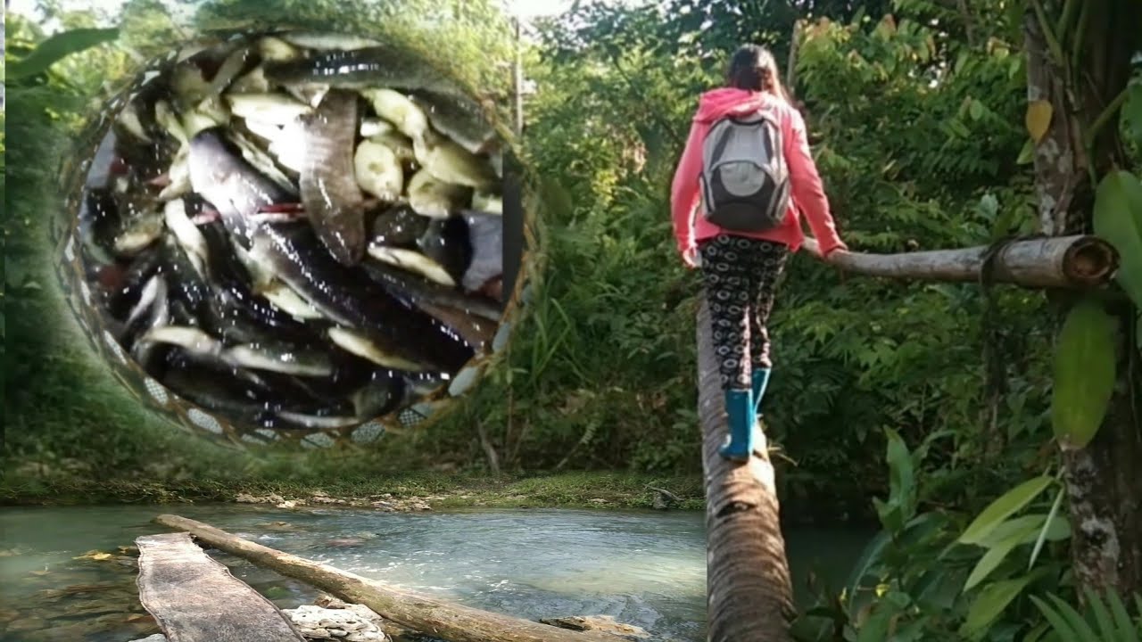 We went to riverside: Catching fish or isda sa tubig tabang,dami! - YouTube