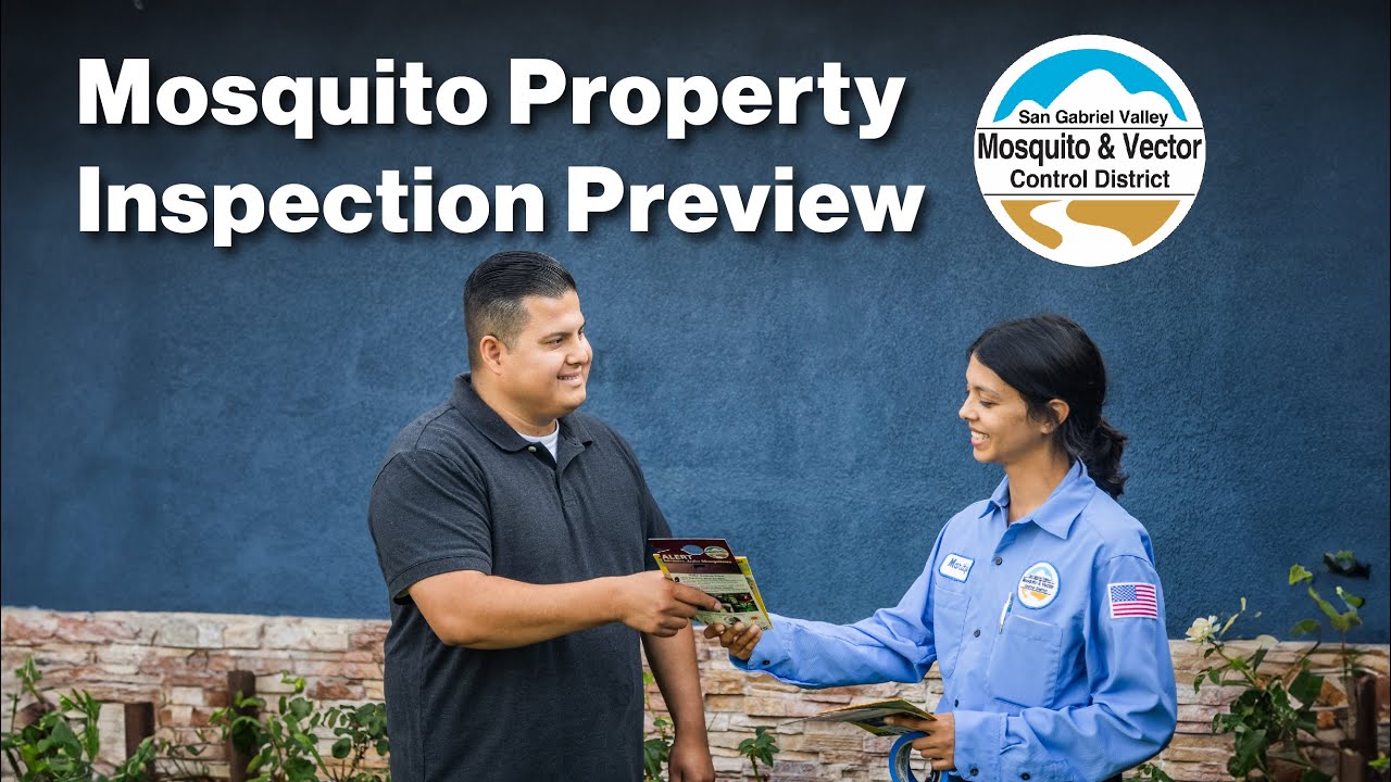 Mosquito Property Inspection Preview - YouTube