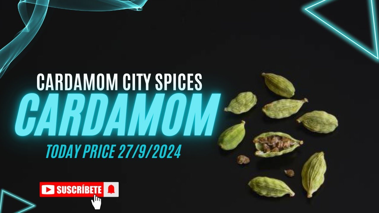 CARDAMOM TODAY PRICE 27/9/2024#cardamomcityspices#cardamom#elachi# ...