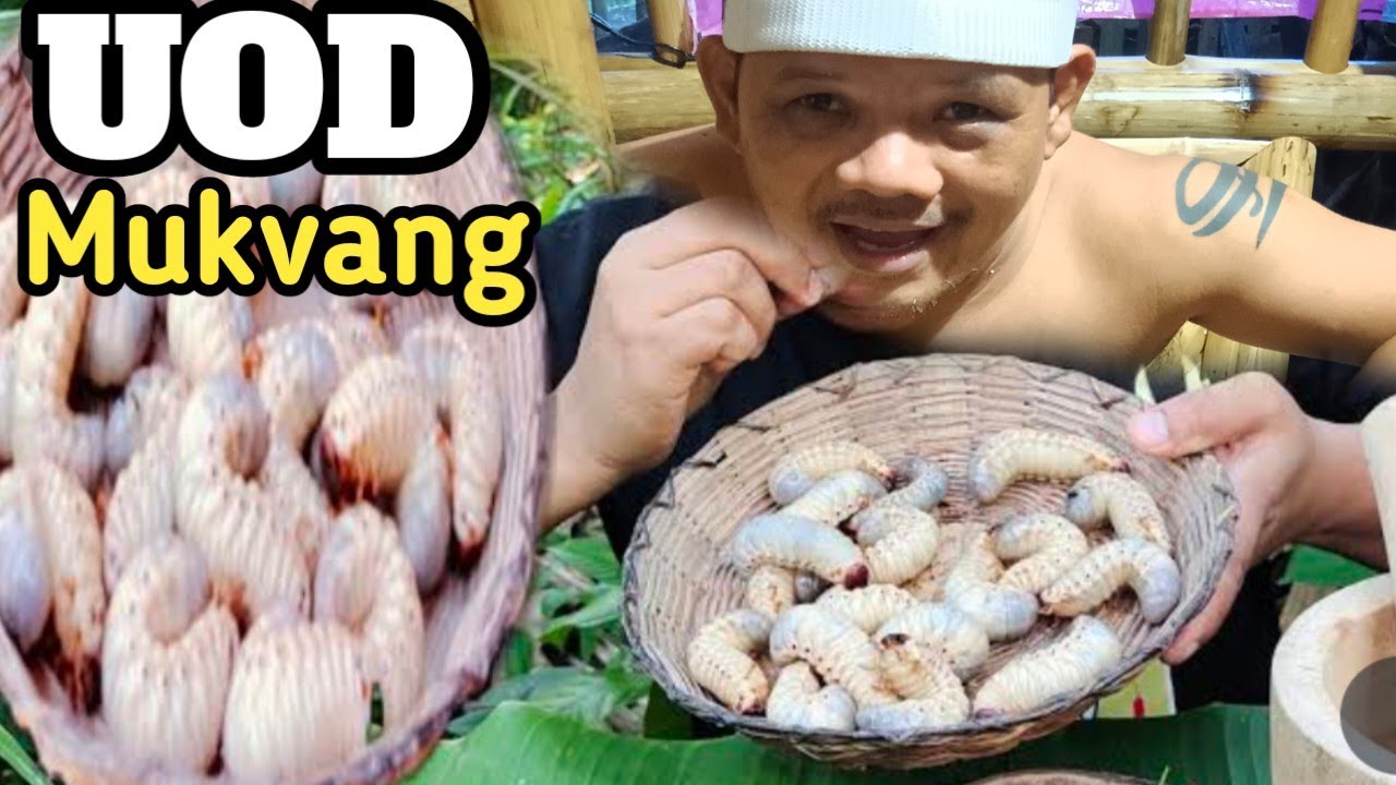 Isang uod para sa tagumpay - YouTube