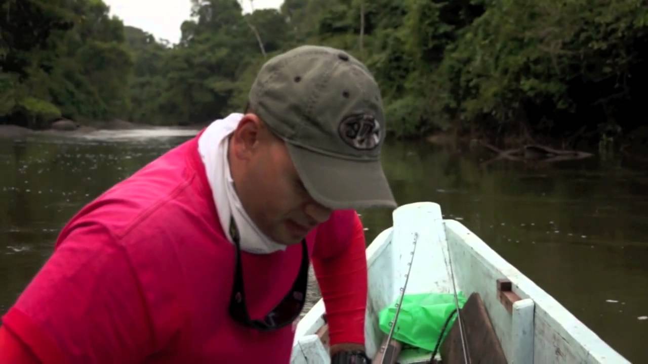 Wolf fish fishing lessons In Suriname - YouTube