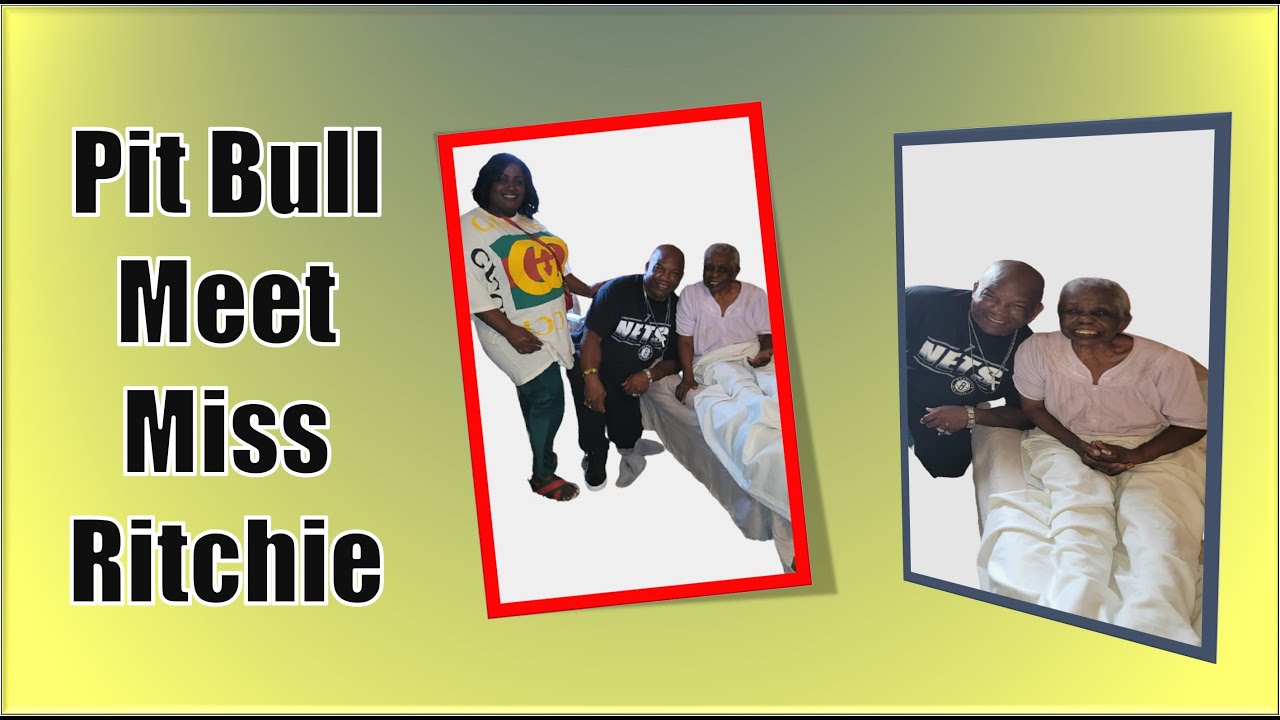 Pit Bull Meet Miss Ritchie - YouTube