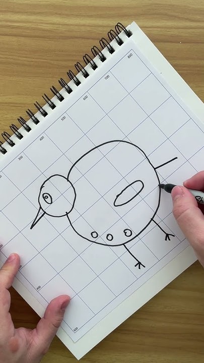 Introduction To Coding Draw A Bird With Code Cseducation Codingchallenge Letscode Youtube 2453