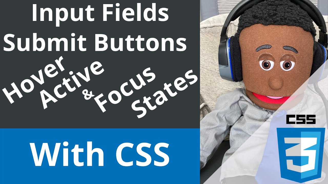 Css Styling Html Input Fields Along With The Submit Buttons Hover Active And Focus States 0123