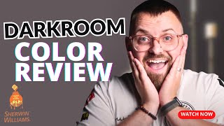 Intrepid Grey SW 9556 Paint Color by Sherwin-Williams