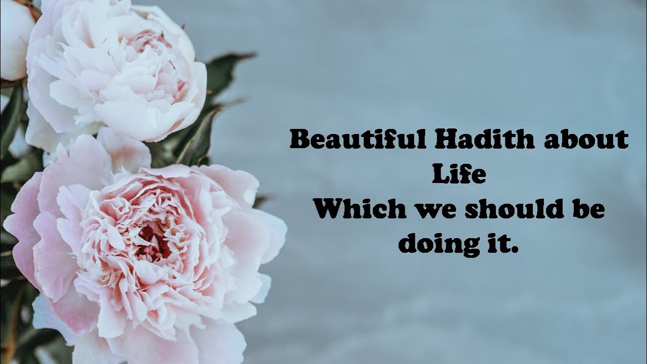 Beautiful Hadith of the Day about Life which we should be doing it ...