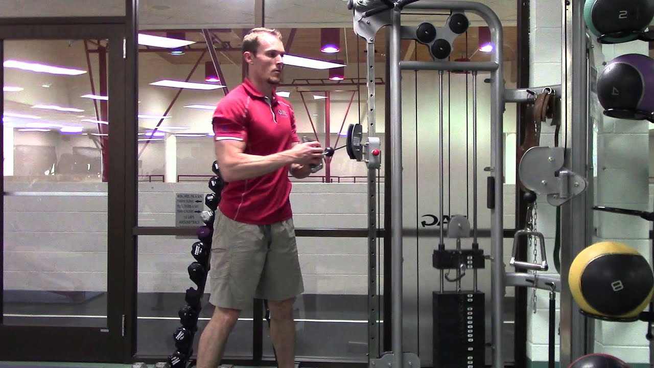 Cable Torso Rotation - YouTube