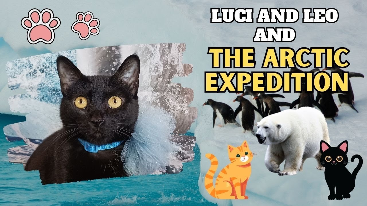 Luci and Leo and The Arctic Expedition - YouTube