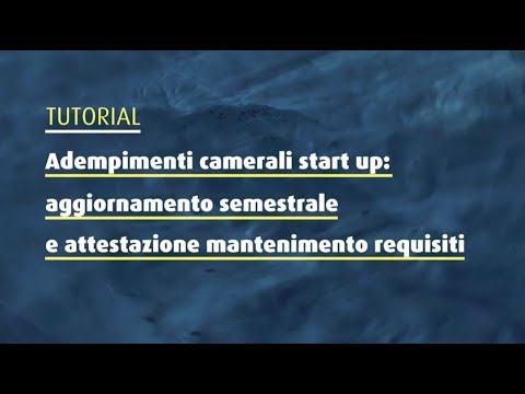 Tutorial: Adempimenti camerali start up
