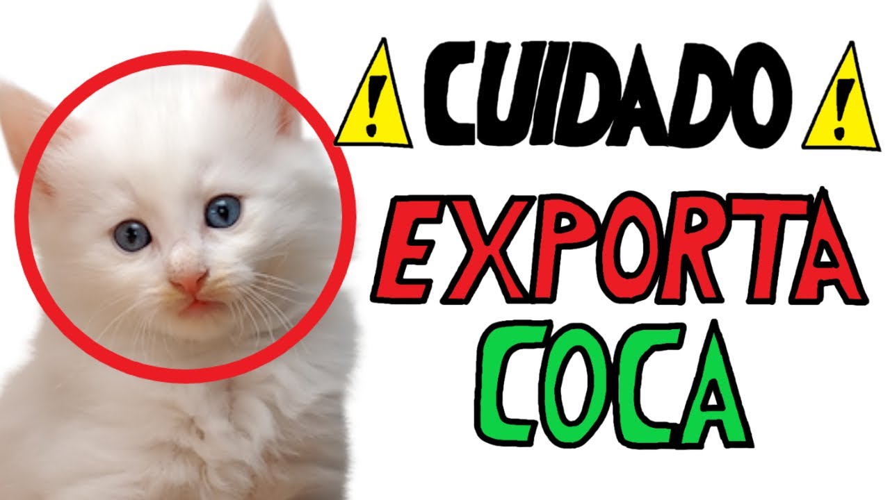 LA HISTORIA DEL MAYOR MERCADO NEGRO DE LA DEEP WEB Y DARK WEB SILK ROAD ...