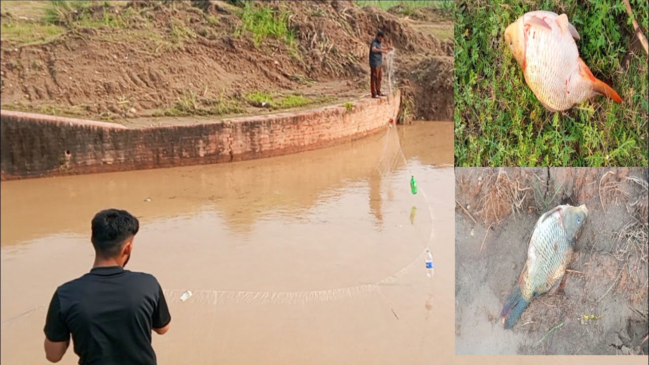 Catching Fish with Bare Hands Net Fishing In Pakistan Azad kashmir 2023 ...
