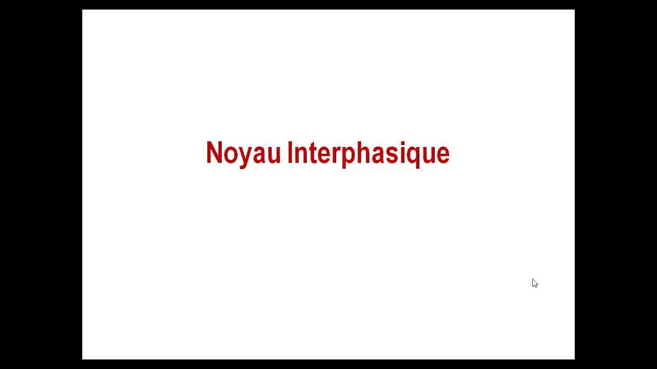 NOYAU INTERPHASIQUE Pr Ayad - YouTube