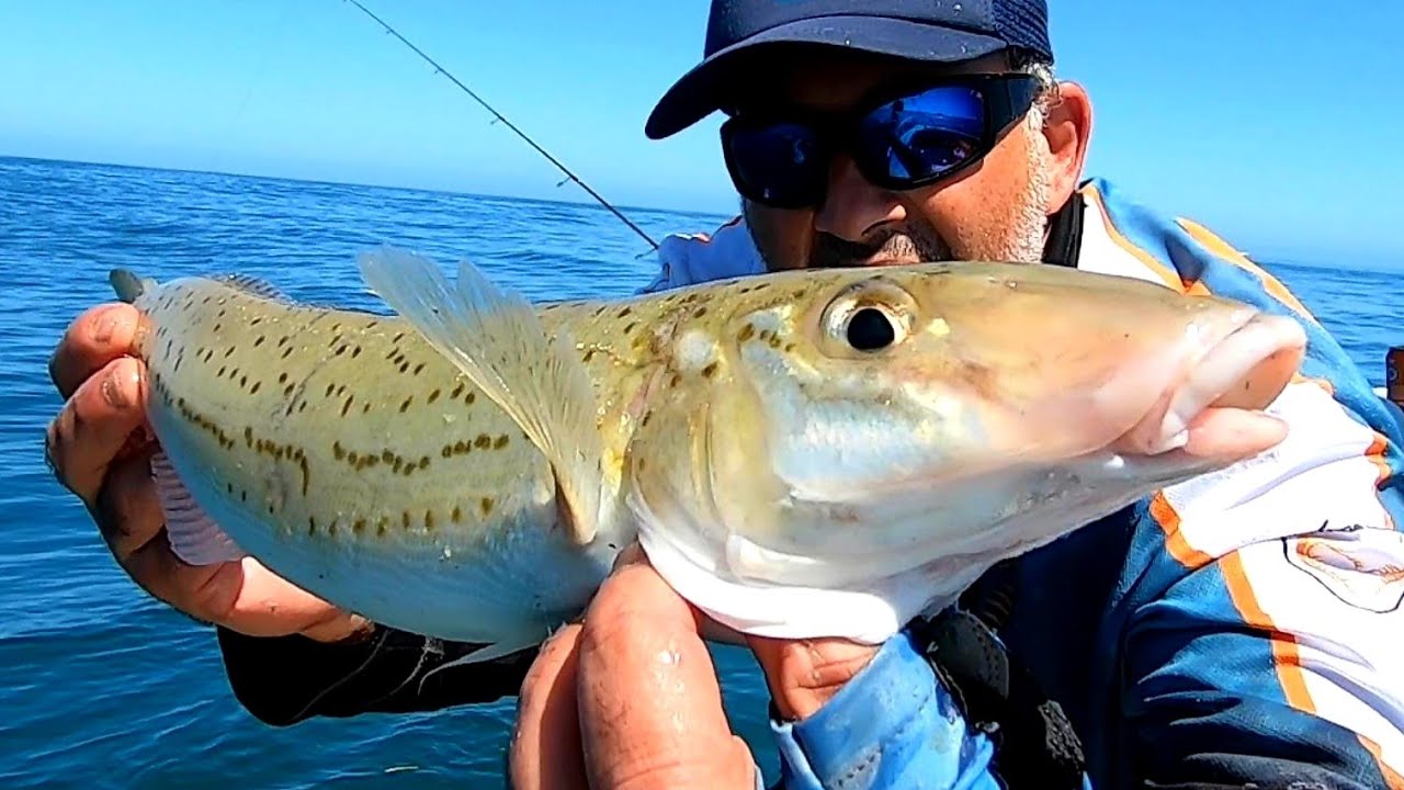 EPIC Whiting Fishing Half a Meter Long! Christmas is Every Day - YouTube