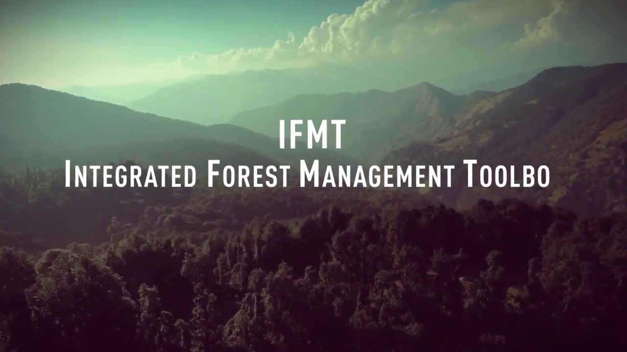 Integrated Forest Management Toolbox (IFMT) - YouTube
