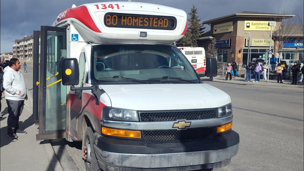 Calgary Transit Route 80 (full bus ride) - Homestead (Saddletowne ...