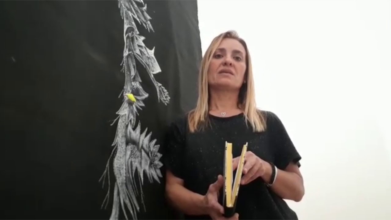 Sala en espera: Cecilia Testa - YouTube