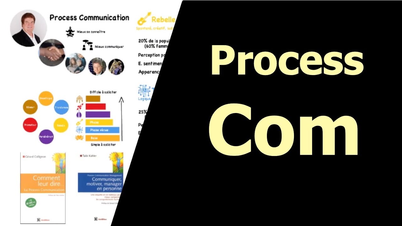 Qu'est-ce que la Process Com ? [1/2] - YouTube