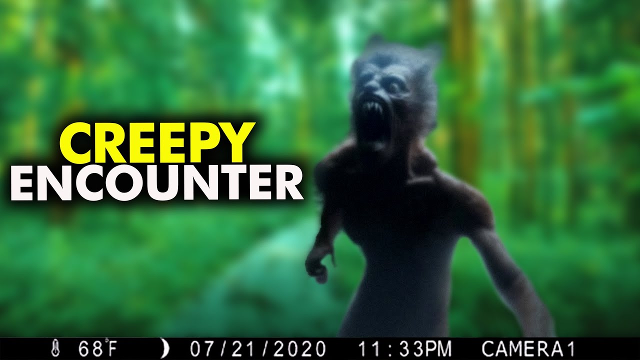 SCARY Trail Cam Footage | That Will Haunt Your Dreams! - YouTube