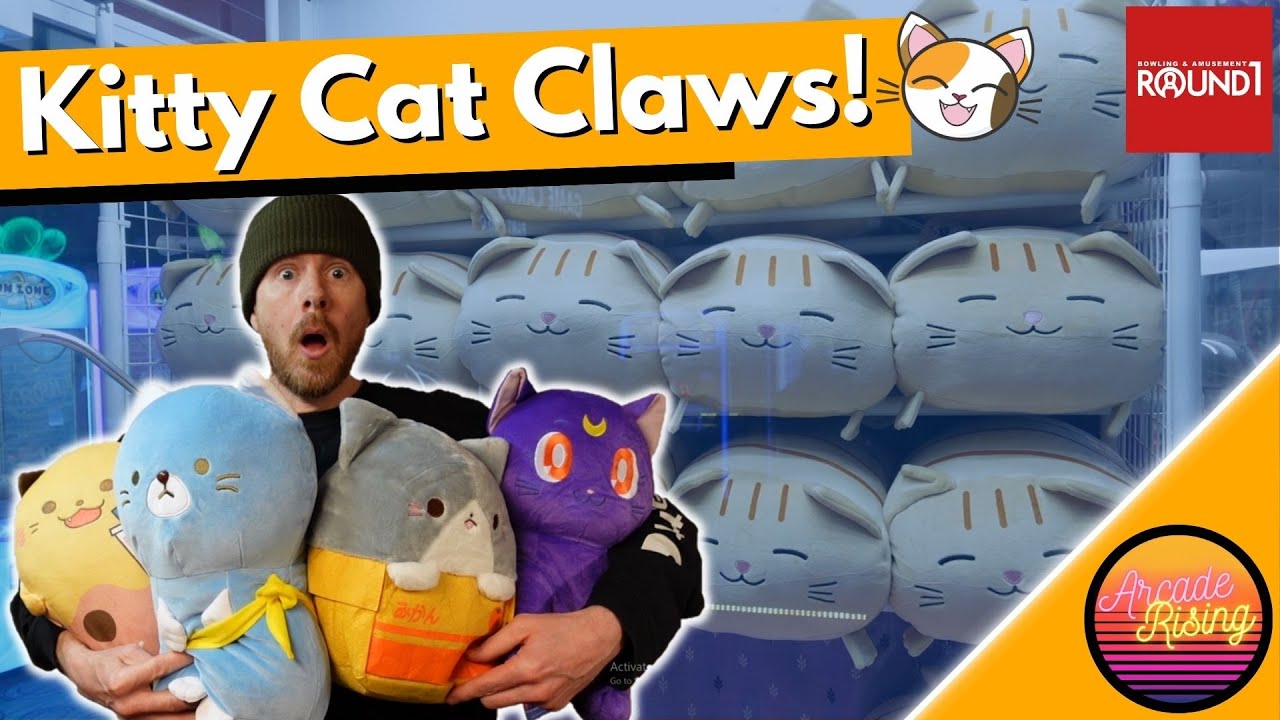 The BEST Claw Machine Video Ever...for Your Cat! - YouTube