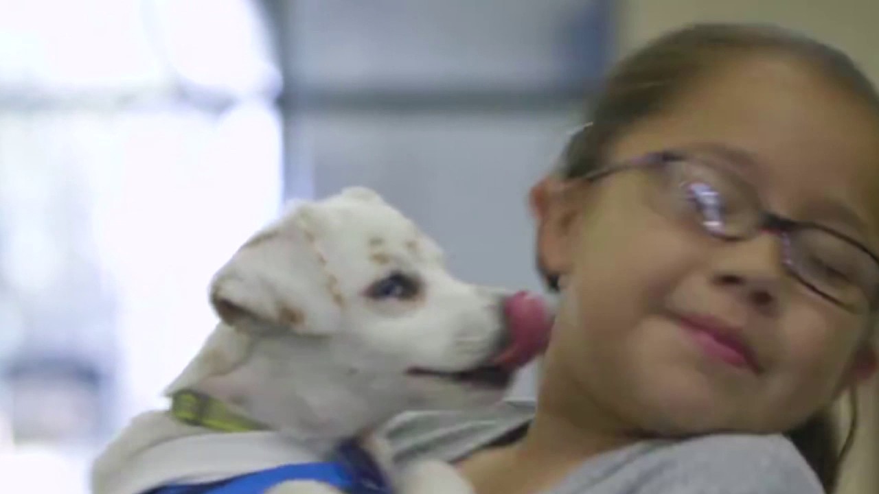 123 Clic - Temporada 4 | Capítulo 49 | Cerebro de Astronauta y Bossabol ...