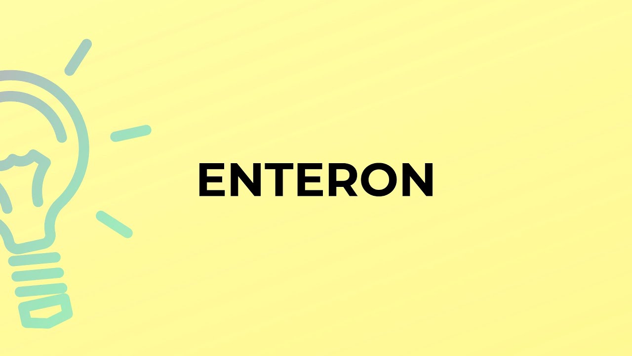 What Is The Meaning Of The Word ENTERON YouTube what-is-the-meaning-of-the-word-enteron-youtube