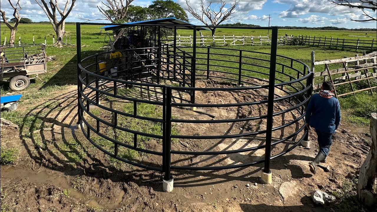 Corral circular ganadero #ganaderiacolombiana #ganaderia #ganaderos # ...