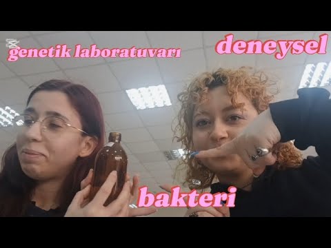 GELİN BERABER GENETİK LABORATUVARINDA DENEY YAPALIM #genetics #bacteria #izmir