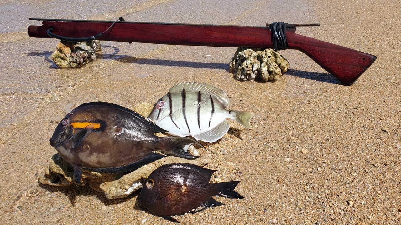 I Built a Primitive Speargun from Scratch - Primitive Fishing Catch ...