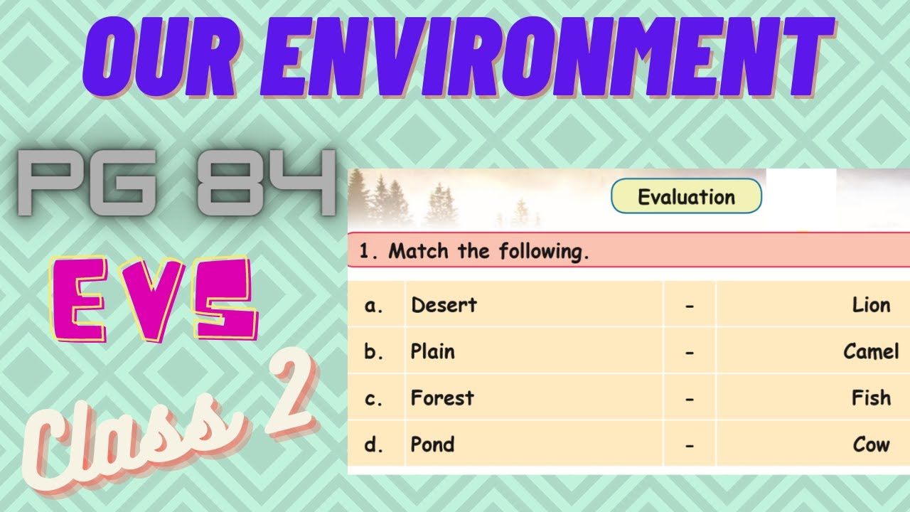 Tn Samacheer Class 2 Term 1 Evs Our Environment Lesson Evaluation pg 84 tn-samacheer-class-2-term-1-evs-our-environment-lesson-evaluation-pg-84