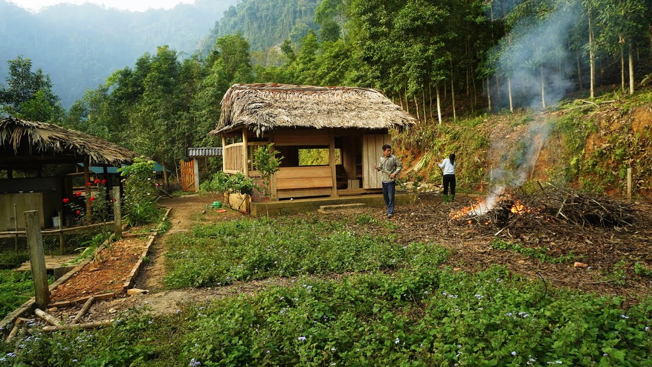 The prosperity of the city in the forest has returned - life in the ...