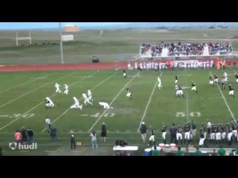 Isaiah Fields sophomore highlights - YouTube