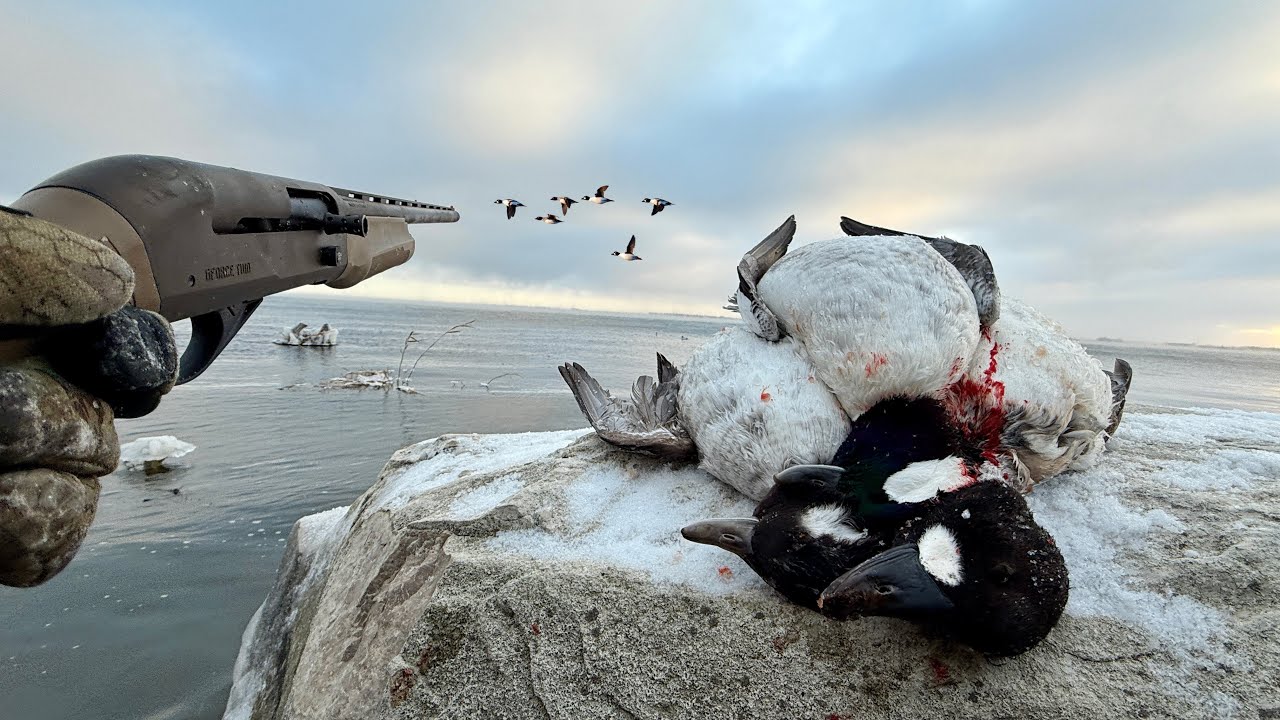 Solo Diver Duck Hunting the Last Open Water! - YouTube