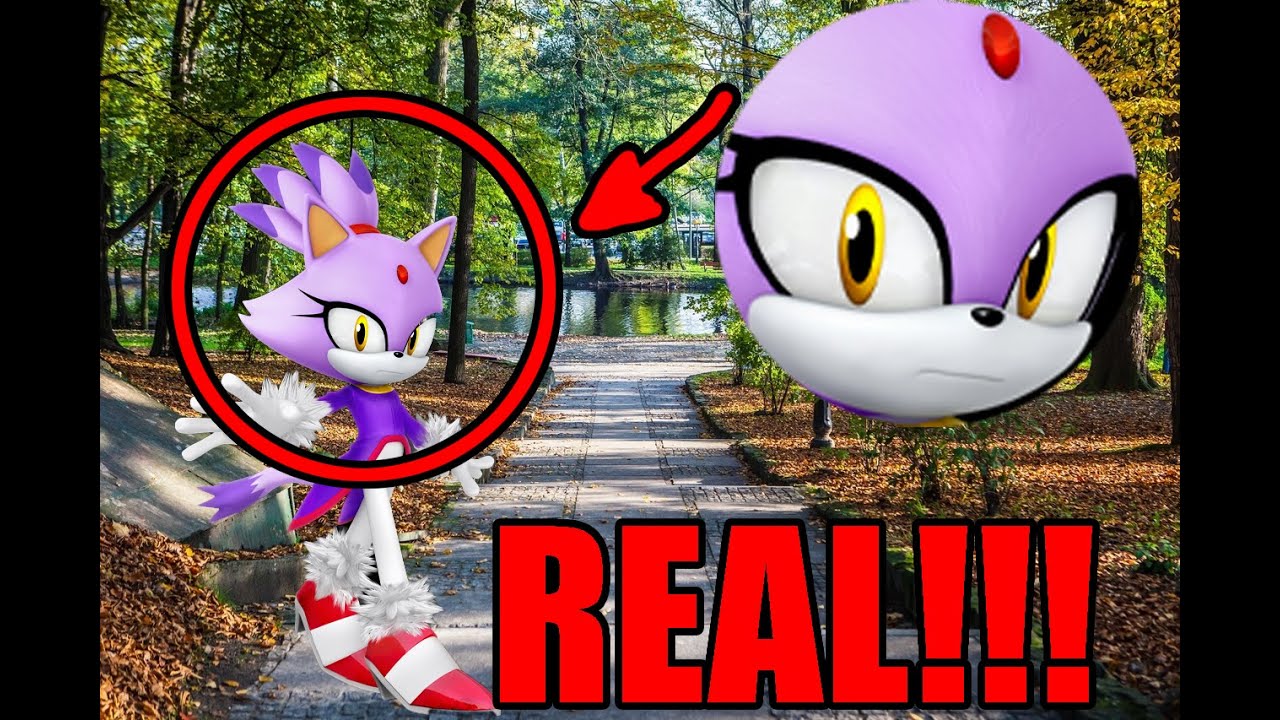 BLAZE THE CAT IN REAL LIFE! (REAL) - YouTube