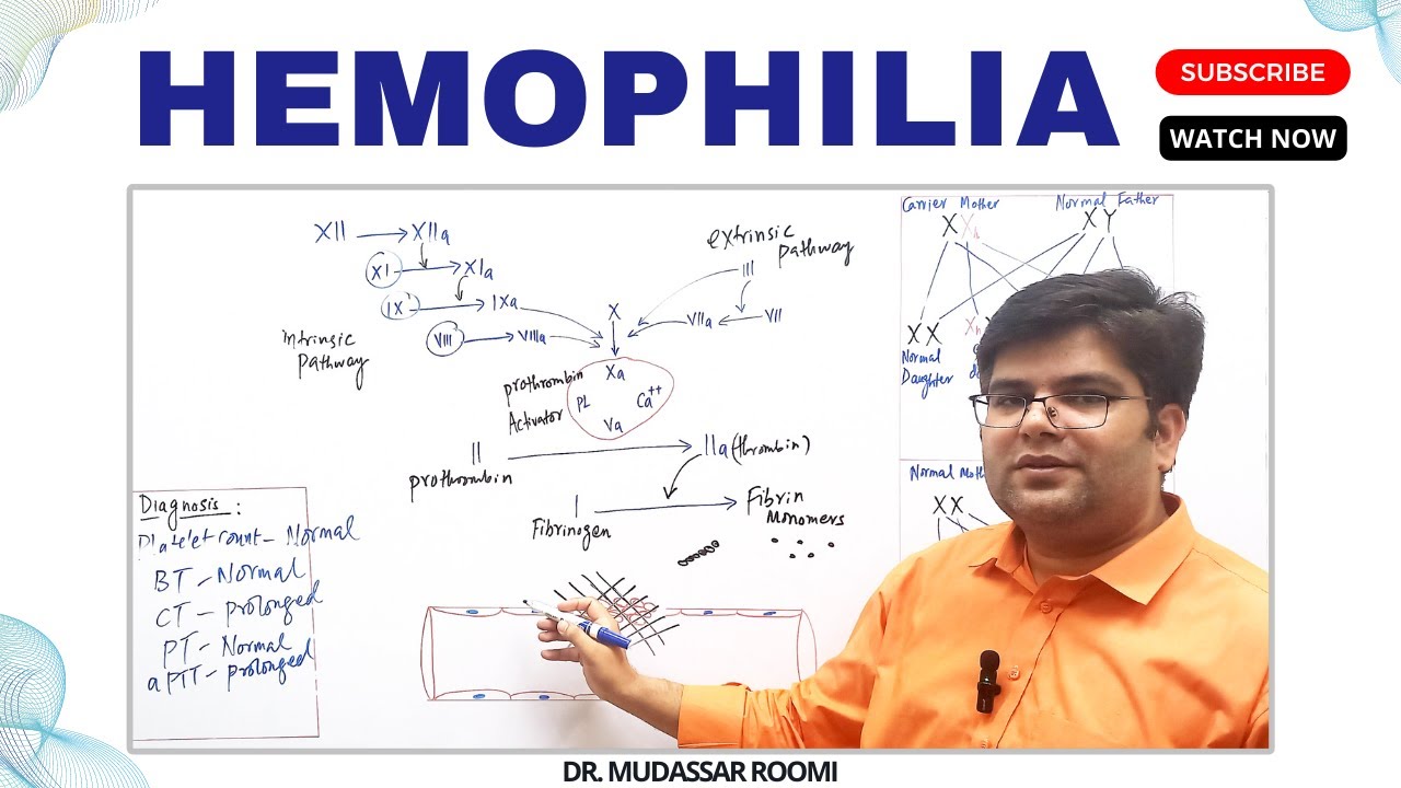 Hemophilia | Types, inheritance & diagnosis of Hemophilia | Bleeding ...