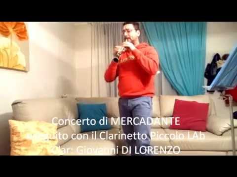 Clarinetto Piccolo LAb