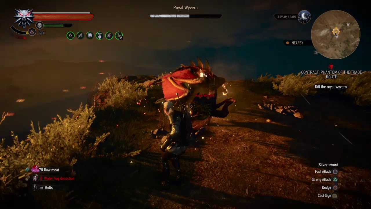The Witcher 3 - Royal Wyvern fight - YouTube