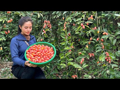 FULL VIDEO: 60 Days of harvesting tomatoes, papaya, and cabbage, bringing them to the market to sell