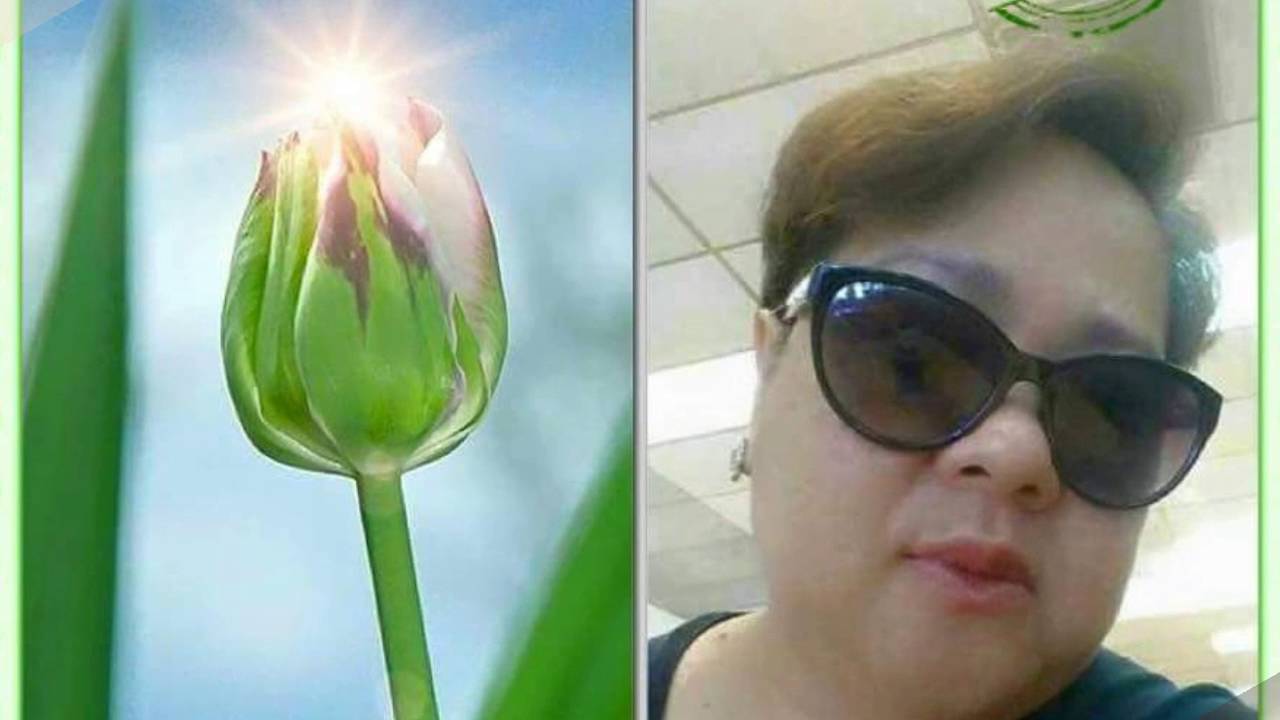 Monay Lisa - YouTube